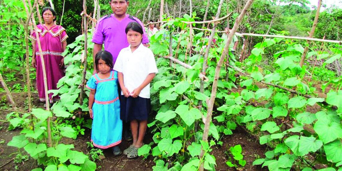 Agroalimentación: el estilo de vida del consumidor - Panorama Católico