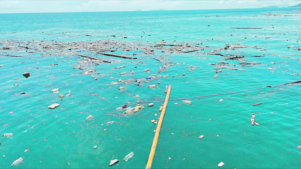 Para alcanzar un ambiente limpio y sano, la toma de conciencia es clave ...
